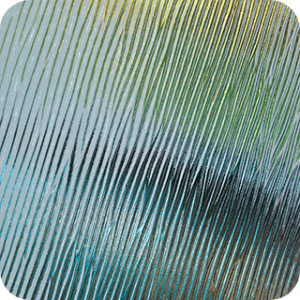 Glass Inserts for Front Entry Doors - Textured Designs for Light ...